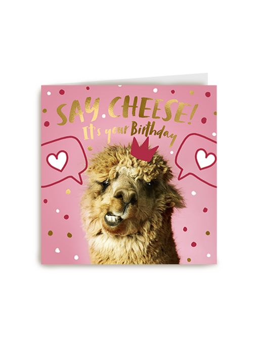Llama say cheese | Hallmark