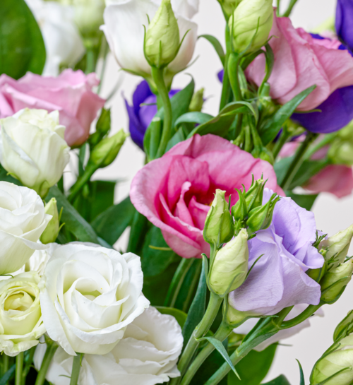 Bloemen Cadeaubon | Hallmark